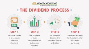 Dividend Investing & Income Explained | Money Morning