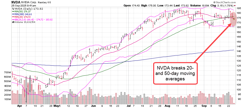 NVIDIA Breakdown + Bubble Fear = Buy Signal